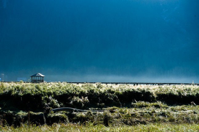 Estuary Boardwalk | Stewart Cassiar Highway | Northern BC