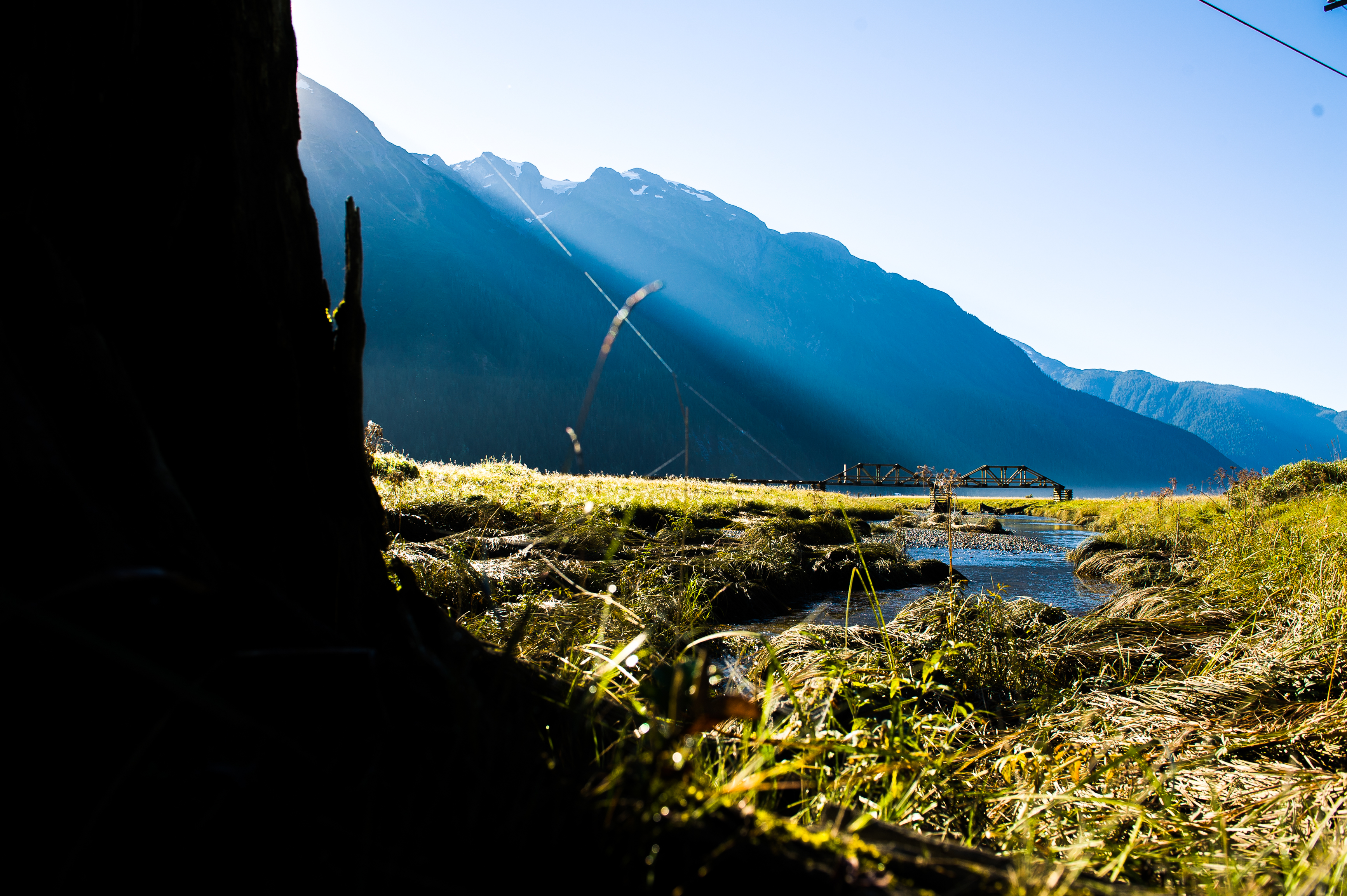 Estuary Boardwalk | Stewart Cassiar Highway | Northern BC